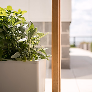 Glowpear Self Watering Planter Box - 23.6", White - UV Stable, Scalable Plant Pot with Water Gauge, Indoor Outdoor for Vegetables, Flowers, Herbs, and Succulents, Gardening