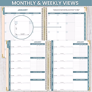 bloom daily planners Undated Chronic Illness Planner & Medical Journal - 12 Month Pain & Symptom Tracker, Mood & Medication Log, Appointment Organizer (7” x 9”)- You Are Stronger Than You Think