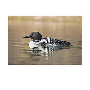 RCCER Common Loon Canvas Poster Bedroom Decor Sports Landscape Office Room Decor Gift,Canvas Poster Wall Art Decor Print Picture Paintings for Living Room Bedroom Decoration 08x12inch(20x30cm)