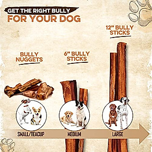 Bully Sticks For Dogs, Low Odor, All Natural Dog Treat - Long Lasting Beef Rawhide Alternative, Bully Stick Chew Sticks Best For Aggressive Chewers, Small, Medium, Large Dogs, Or Teething Puppies