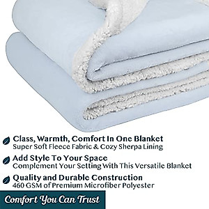 PAVILIA Plush Sherpa Fleece Throw Blanket Light Blue | Soft, Warm, Fuzzy Baby Blue Throw for Couch Sofa | Solid Reversible Cozy Microfiber Fluffy Blanket, 50x60