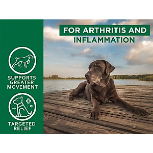 New Zealand - Green Lipped Mussel for Dogs - 1325mg 90 Caps - Hip & Joint Supplement for Dogs & Arthritis Relief for Dogs - GMO & Gluten Free