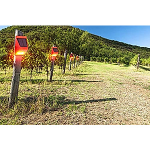 Solar Strobe Light with Remote Controller, Solar Alarm Light with Motion Detector Solar Alarm Light 129db Sound Security Siren IP65 Waterproof, Protected Your Home, Farm, Barn, Barn,Villa,Yard (Red)