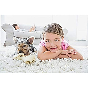 Capture Carpet & Rug Dry Cleaner w/Resealable lid (4 Pound) Pre-Mist Soil Release Carpet Cleaning Pre Spray (2 Pack) Bundle