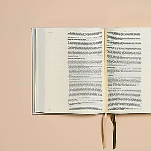 CSB Notetaking Bible, Hosanna Revival Edition, Lemons Cloth Over Board, Black Letter, Single-Column, Journaling Space, Reading Plan, Easy-to-Read Bible Serif Type