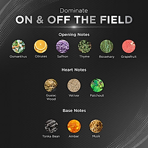 RAYAN Sport Junky Eau de Parfum - 100 mL, Citrus, Oriental, Amber Scent, Unisex, Travel Size