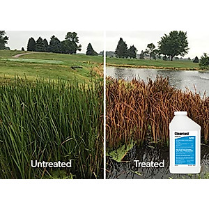 Clearcast Herbicide