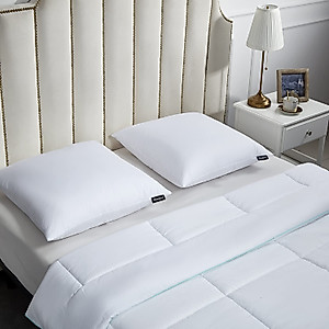 Beautyrest Euro Pillow, 26''x26'', White 2 Count