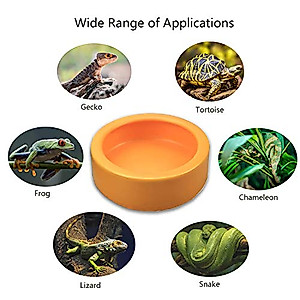 2 Pack Worm Dish Reptile Food Bowl Bearded Dragon Ceramic Bowl with Feeding Tongs (Yellow-Large)