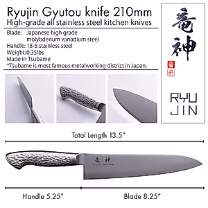 竜神 (RYUJIN) Professional Japanese chef knife Gyutou Knife 210mm [OMOTENASHI Selection 2023 Best Gold Award Winner] Made in Japan Tsubame Sanjo Stainless Steel Integrated Daishin Sangyo [Ryujin Knife]