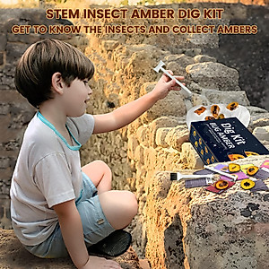 Amber Dig Kit - Excavate 9 Insects Specimens, Geology Science STEM Educational Bugs Toys for 6 7 8 9 10 11 12 Years Old Boys Girls, Gifts for Easter Christmas Birthday Halloween