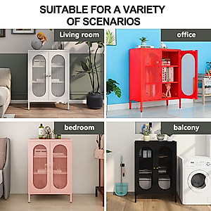 Fumedo 2 Mesh Door Metal Storage Cabinet for Bed Room,Living Room,Home,Hotel,Office,Garage,Kitchen,3-Tier,2 Removable Shelves (Mesh Door Cabinet, Black)