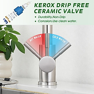 TRYWELL Kitchen Faucets with Pull Down Sprayer Stainless Steel Kitchen Sink Single Handle Utility Faucet Modern Brushed Nickel Faucet and Deck Plate for Kitchen Bar Camper RV