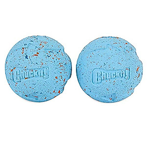 Chuckit! Medium Rebounce Ball 2.5", 2 Pack, Blues & Purples (20320)