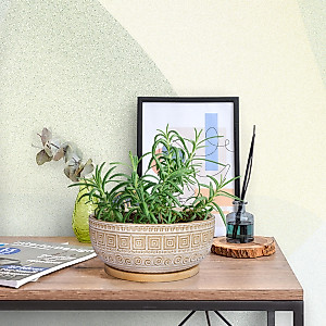 G EPGardening 8 Inch Ceramic Succulent Planter Pots for Indoor Plants Round Shallow Bonsai Planter Pot with Drainage and Bamboo Saucer White