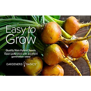 Beet Seeds for Planting Golden Detroit Heirloom Non-GMO Golden Beets Plant Seeds for Home Garden Vegetables Makes a Great Gift for Gardeners by Gardeners Basics