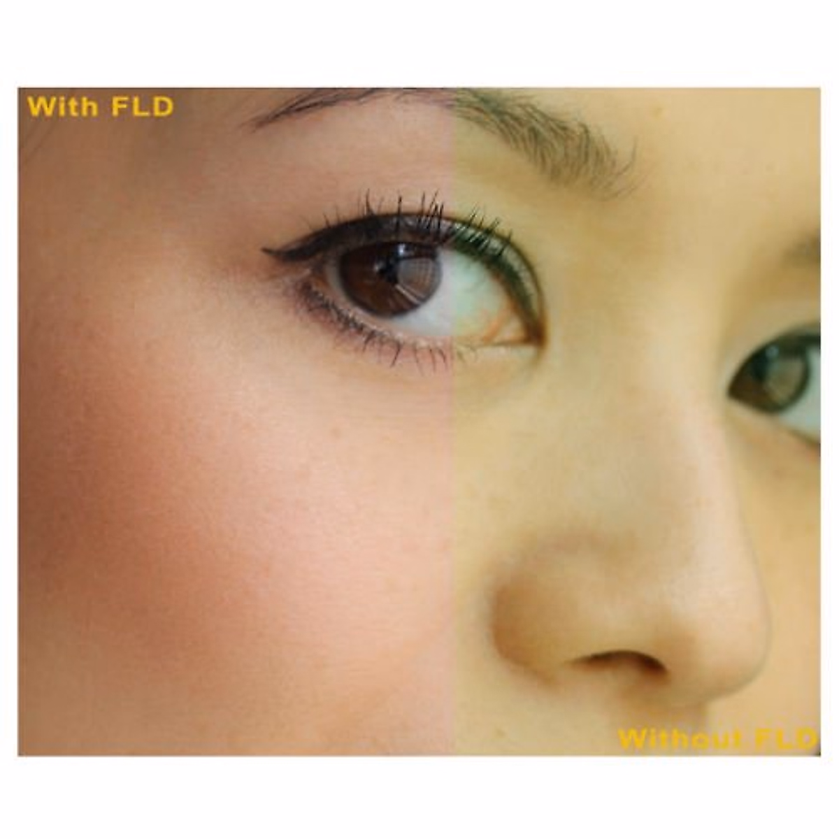 Canon Powershot SX510 HS High Grade Multi-Coated, Multi-Threaded, 3 Piece Lens Filter Kit (includes Adapter Ring)