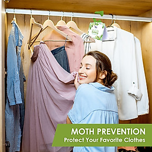 MothMag Moth Traps for Clothes, Closets, Fabrics, and Carpets, Clothing Moth Traps, Clothes Moth Traps, Closet Moth Traps, Moth Pheromone Traps, Extra-Strength Adhesive Glue Clothes Moth Trap, 6 Pack