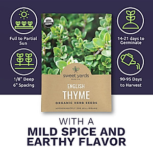 Organic English Thyme Seeds – Seed Packet of Over 8000 Open Pollinated Non-GMO Seeds – Sweet Yards Seed Co.