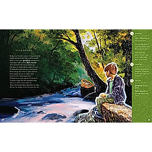 The Illustrated Robert Frost: 25 Essential Poems (The Illustrated Poets Collection, 2)