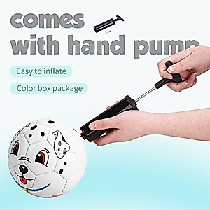 EVERICH TOY Soccer Ball Size 2 Soccer Balls for Kids-Sport Ball for Toddlers-Backyard Lawn Sand Outdoor Toys for Boys and Girls,Including Pump