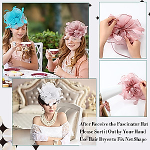 Yunsailing 8 Pack Women's Fascinators Hat Tea Party Wedding Derby Mesh Flower Feather Fascinator Hat with Headband and Clip(Multi Colors)