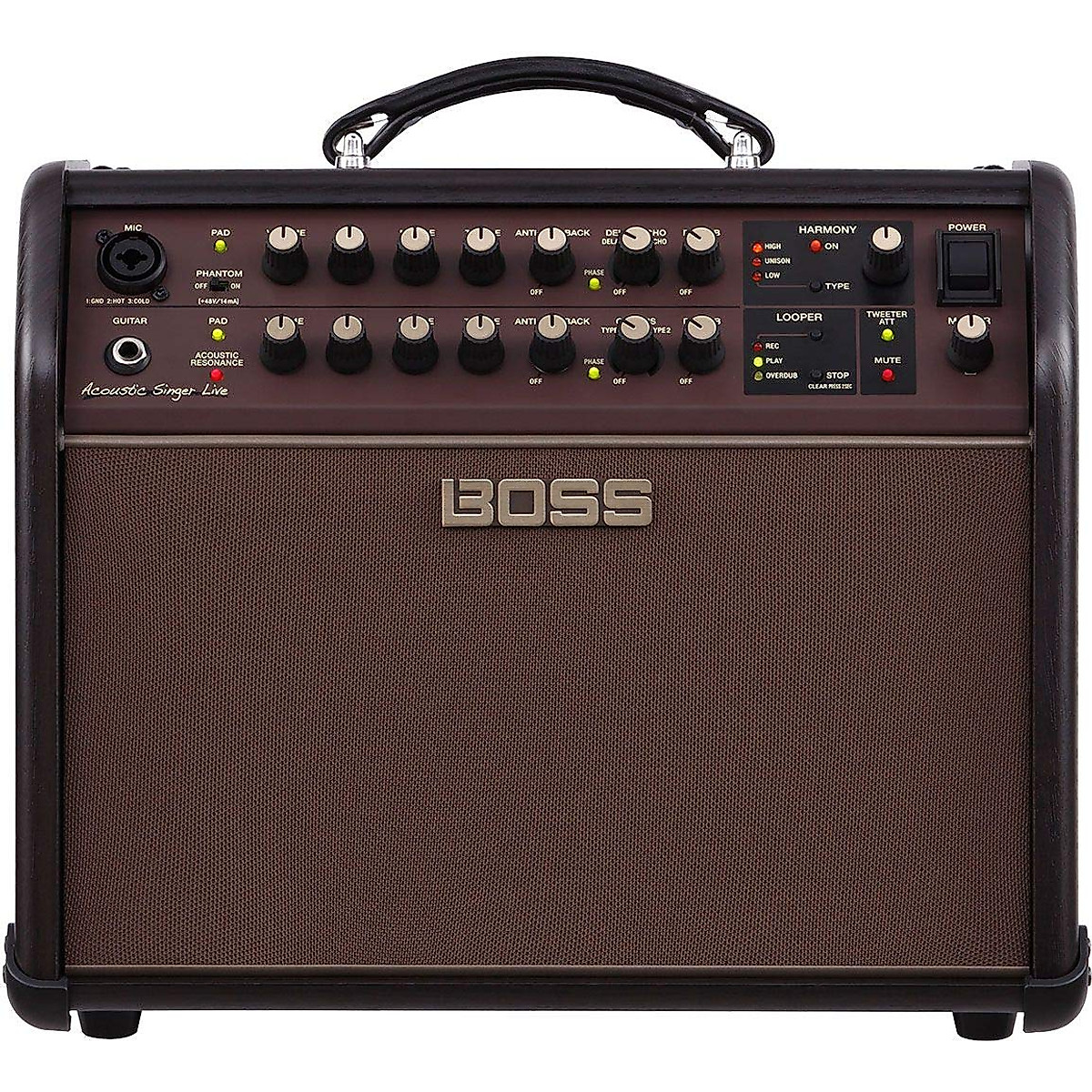 Boss Acoustic Singer Live 60-Watt Bi-Amp Acoustic Combo with FX and Boss FS-6 Dual Foot Switch