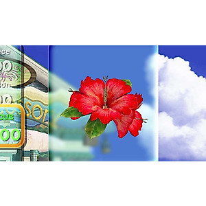 Dead or Alive Xtreme Beach Volleyball [Japan Import]