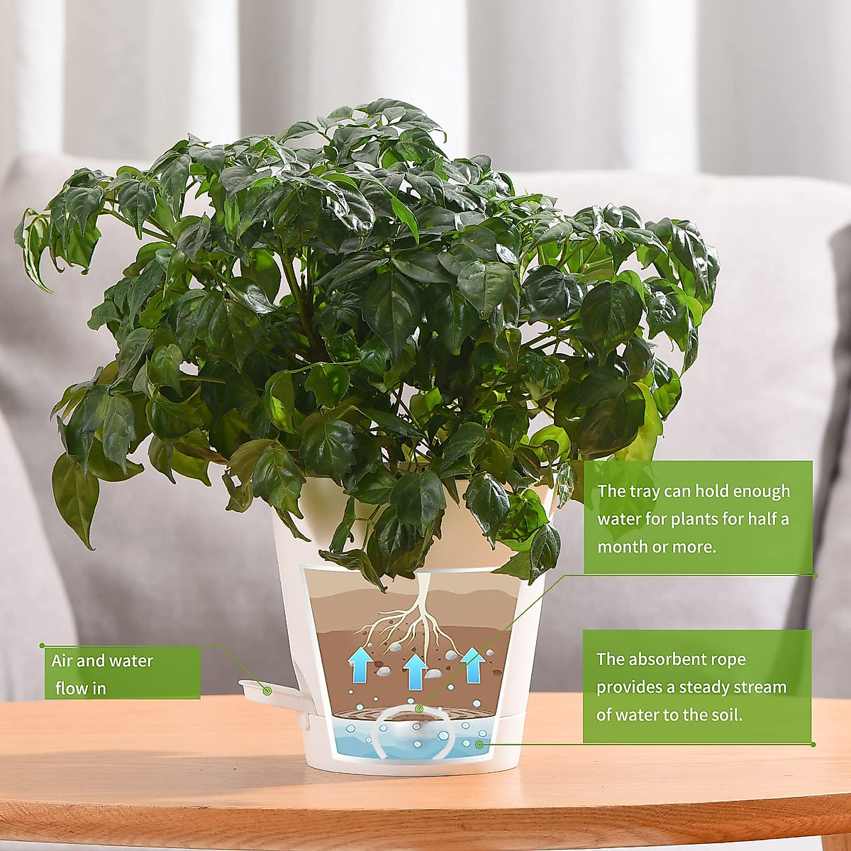 Qaobo Plant Pots 6 PCS 5 inch Self Watering Planters High Drainage Flowers Pot for Indoor Outdoor Plants with Reservoir Tray and Watering Lip Gardening Planter Garden Flower Pots, White