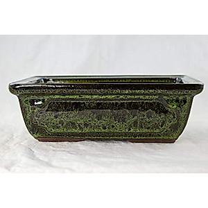 Calibonsai Rectangular Bonsai/Cactus & Succulent Pot 8"x 5.75"x 2.5" w/Mesh - Moss Green Stain