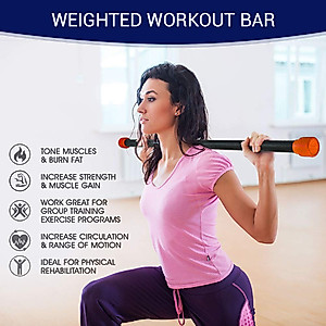 The Fitness Alley Sculpting Workout Bars/Body Toning Steel Bars - 10lb (Orange)