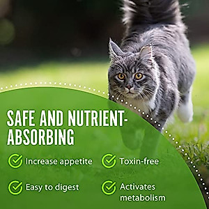 NutraVital - Biotic for Cats, Cat Probiotic and Prebiotic Supplement, Cat Essentials for Indoor Cats & Outdoor, Cat Supplements for Digestive & Immune System Support, Cat Probiotic Powder, 40 g