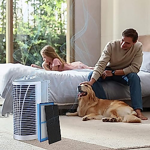 Aer1 Filter Replacement for Holmes Air Purifiers, 2 True HEPA Filters + 4 Carbon Booster Filters, HAPF30AT