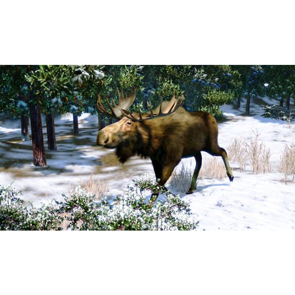 Cabela's North American Adventures