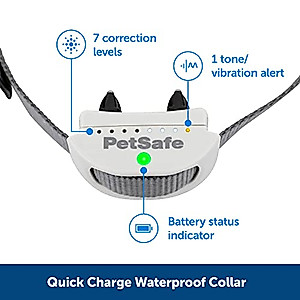PetSafe Classic In-Ground Fence Rechargeable Receiver Collar for Dogs and Cats - from The Parent Company of Invisible Fence Brand - 7 Levels of Adjustable Static Correction - for Pets 5 lb and Up