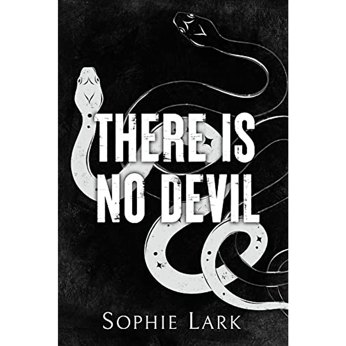 There Is No Devil: Illustrated Edition (Sinners Duet)