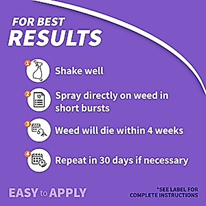 Bonide Poison Oak & Ivy Killer, 32 oz Ready-to-Use Spray for Home Gardening, Fast-Acting Formula Kills the Roots