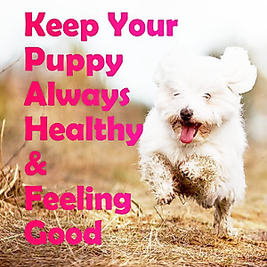 Cranberry Bladder Health for Dogs - Dog Antioxidant- 160 Cranberry Soft Chew Supplements for a Healthy Urinary Tract and Bladder Control – Made with Cranberry & D-Mannose & Vitamins (Chicken Flavor)