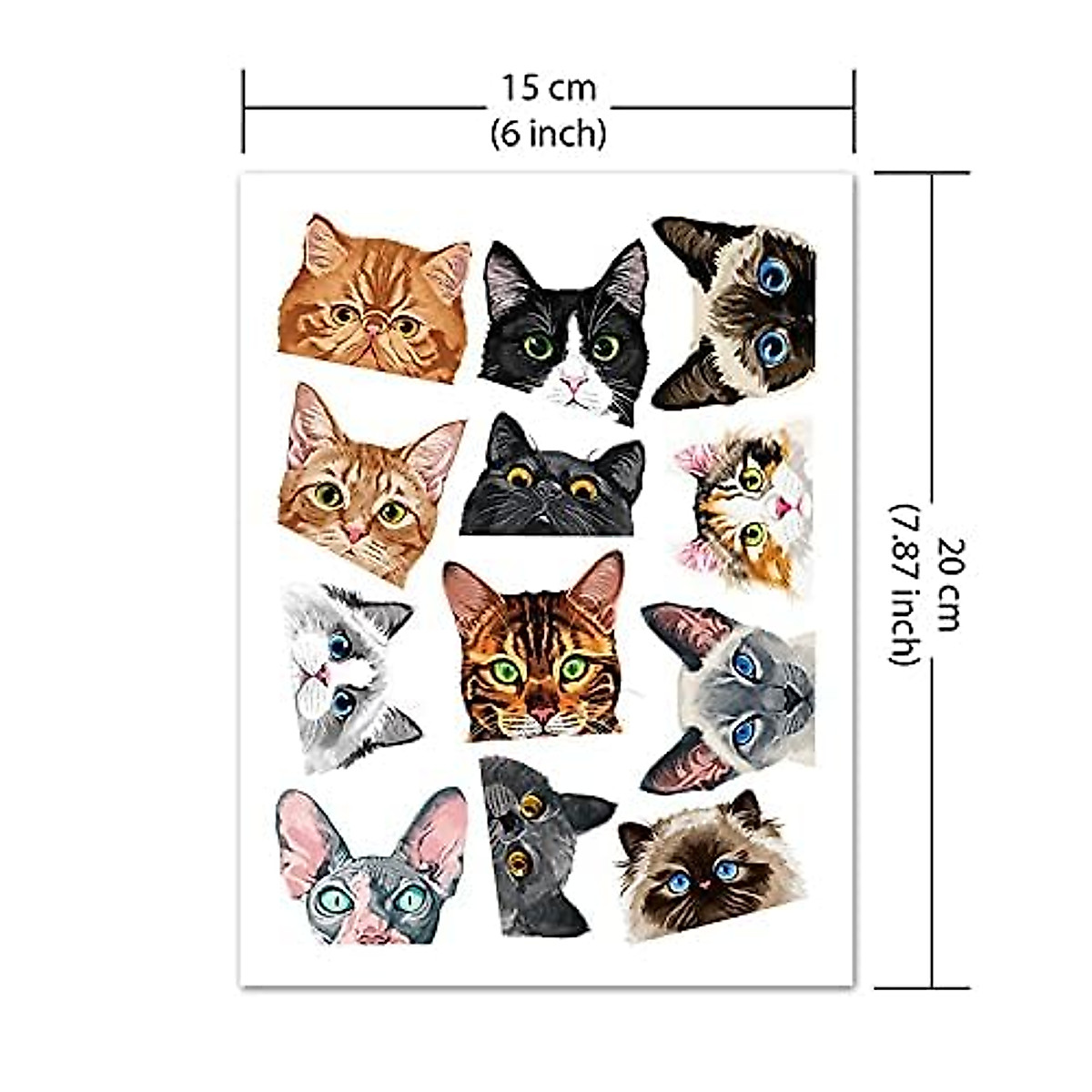 WIRESTER Temporary Tattoo Stickers for Girls Boys Kids Adults, Fake Tattoos on Face Hand Neck Wrist Party Favor Body Art, Tattoo Sheet 6 x 7.87 inch - Cat Designs (Tuxedo, Tabby Kitten, Ragdoll Cat)