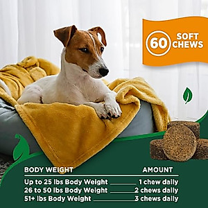 Vet’s Best Flea & Tick Support Soft Chews – Itch Support – Supplement Chews for Dogs – Soothes Skin Irritations Due to Seasonal Allergies, Fleas & Ticks – 60 Chews