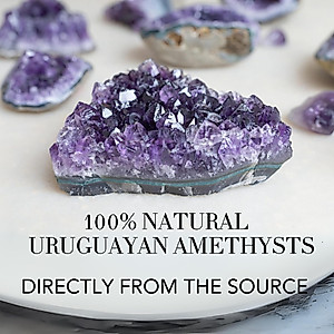 DEEP PURPLE PROJECT 1 Lb Quartz Crystal Cluster Raw Amethyst Stone Plus: GIFT WRAP BOX INCLUDED