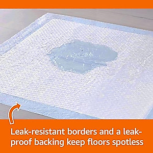 Amazon Basics Dog and Puppy Pee Pads with 5-Layer Leak-Proof Design and Quick-Dry Surface for Potty Training, Standard Absorbency, Regular Size, 22 x 22 Inch - Pack of 50, Blue & White