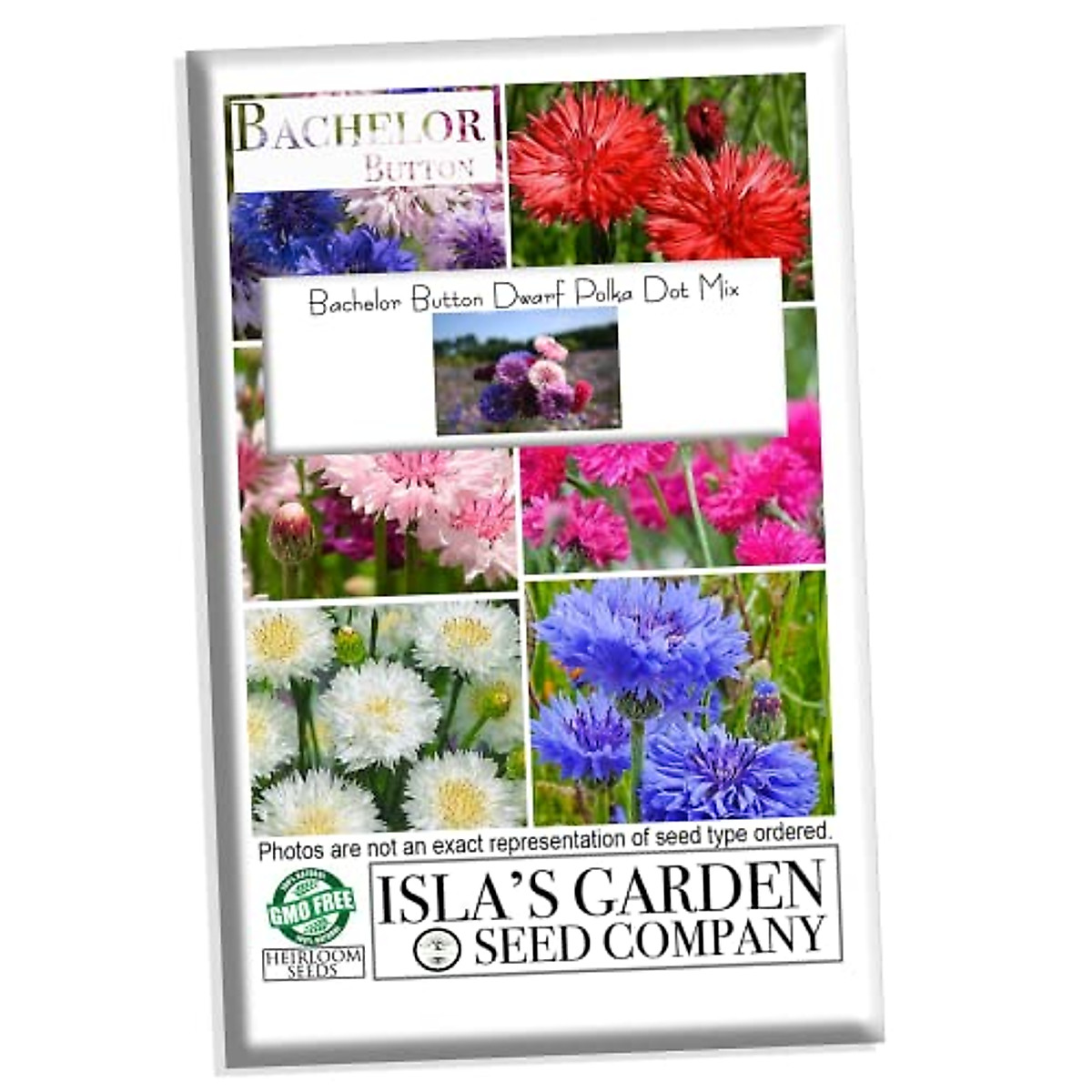 "Dwarf Polka Dot Mix" Bachelor Button Flower Seeds for Planting, 200+ Seeds Per Packet, (Isla's Garden Seeds), Non GMO & Heirloom Seeds, Scientific Name: Centaurea cyanus, Great Home Garden Gift