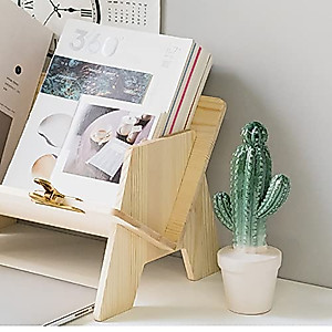 Fox Claw Wood Bookcase in Living Room/Home/Office, Desktop Book Shelf Organizer Bookshelves Storage Rack for CDs/Magazine/Books Display (Style V)