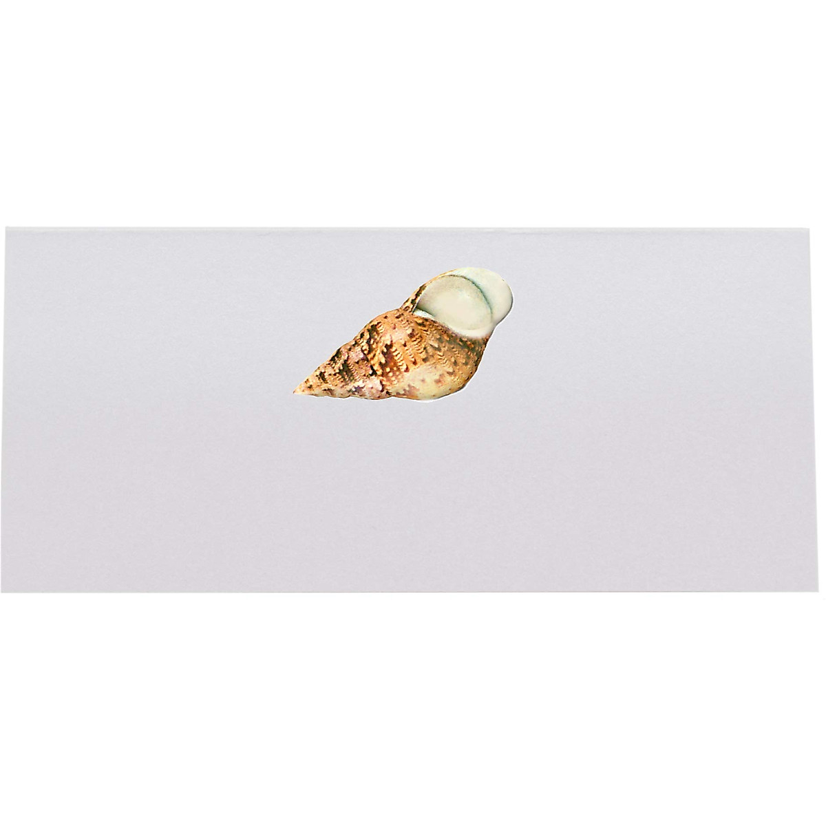 Assorted Seashell Printable Place Cards, Set of 60 (10 Sheets), Laser & Inkjet Printers - Wedding, Party, Dinner, and Special Events - Made in the USA