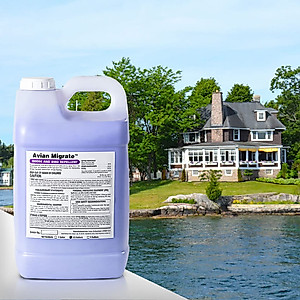 Avian Migrate Goose Deterrent, Bird Repellent Concentrate, Geese Repellent, Non-Toxic, Made in The USA, Removes Geese from Beaches, Yards, Ponds, Parks and Ground (1/2 Gallon)