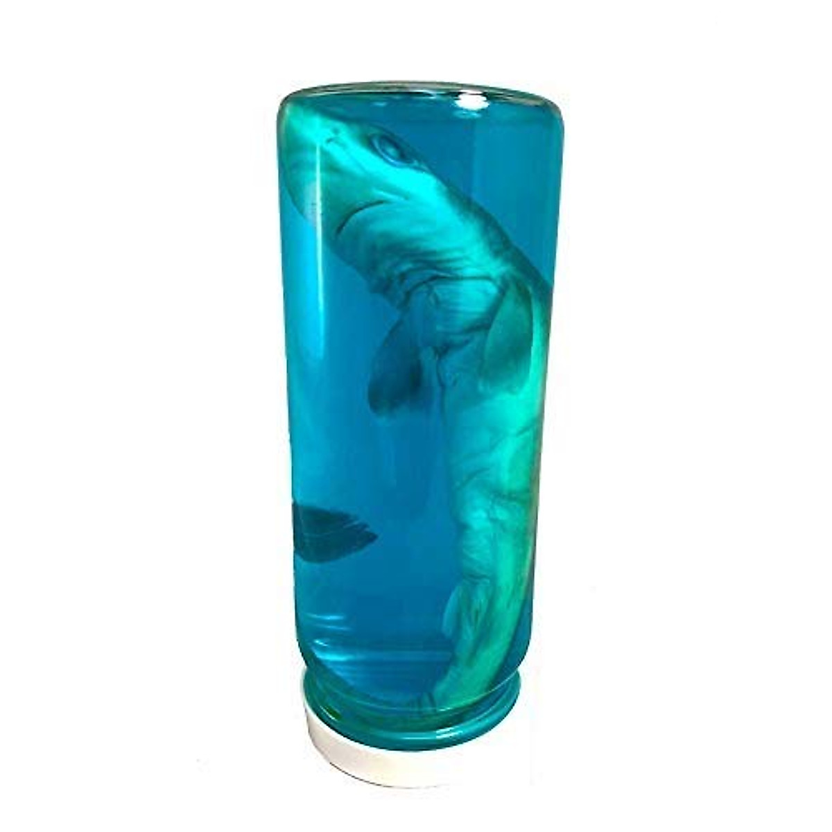 Real Shark in a Bottle Jar, Marine Specimen Taxidermy, Fishing, Jaws