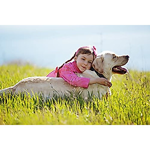 Animal Planet Urine Destroyer Professional Strength ( 32 Oz ) Oxygen Powered Formula Destroys Tough Odors & Stains Yet Gentle On Your Furniture And Carpet