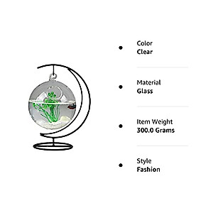 STOYRB Desktop Hanging Glass Fish Tank Mini Table Aquarium Glass Betta Fish Bowl Clear Fish Cylinder Bowl with Iron Stand for Office Home Decor, 1 Fish Bowl, Transparent
