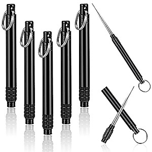 CHENGU 5 Pieces Portable Titanium Toothpicks Metal Pocket Toothpick with Protective Holder Stainless Steel Toothpick Reusable Toothpicks for Picnic Camping Traveling (Black)